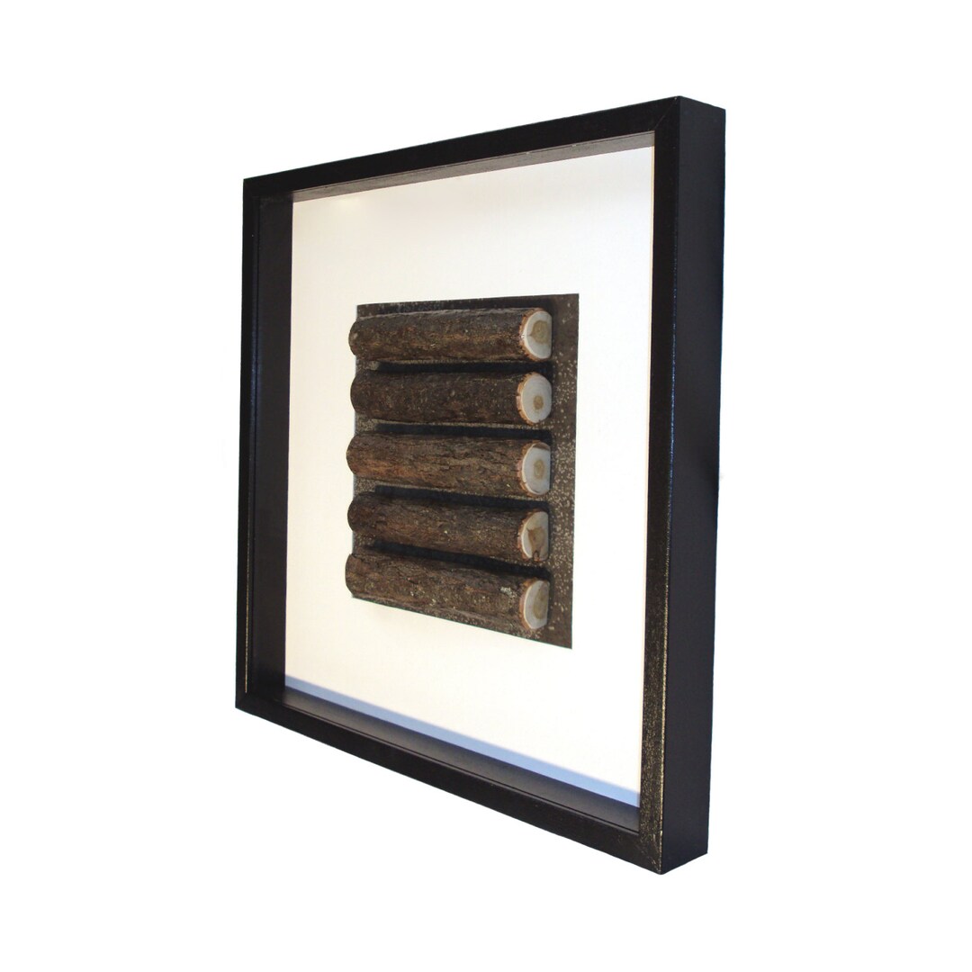 Five Log Display Case Art - Etsy