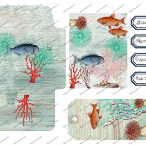 Instant Download-ocean Fish Theme-sea Creatures-digital Images - Etsy