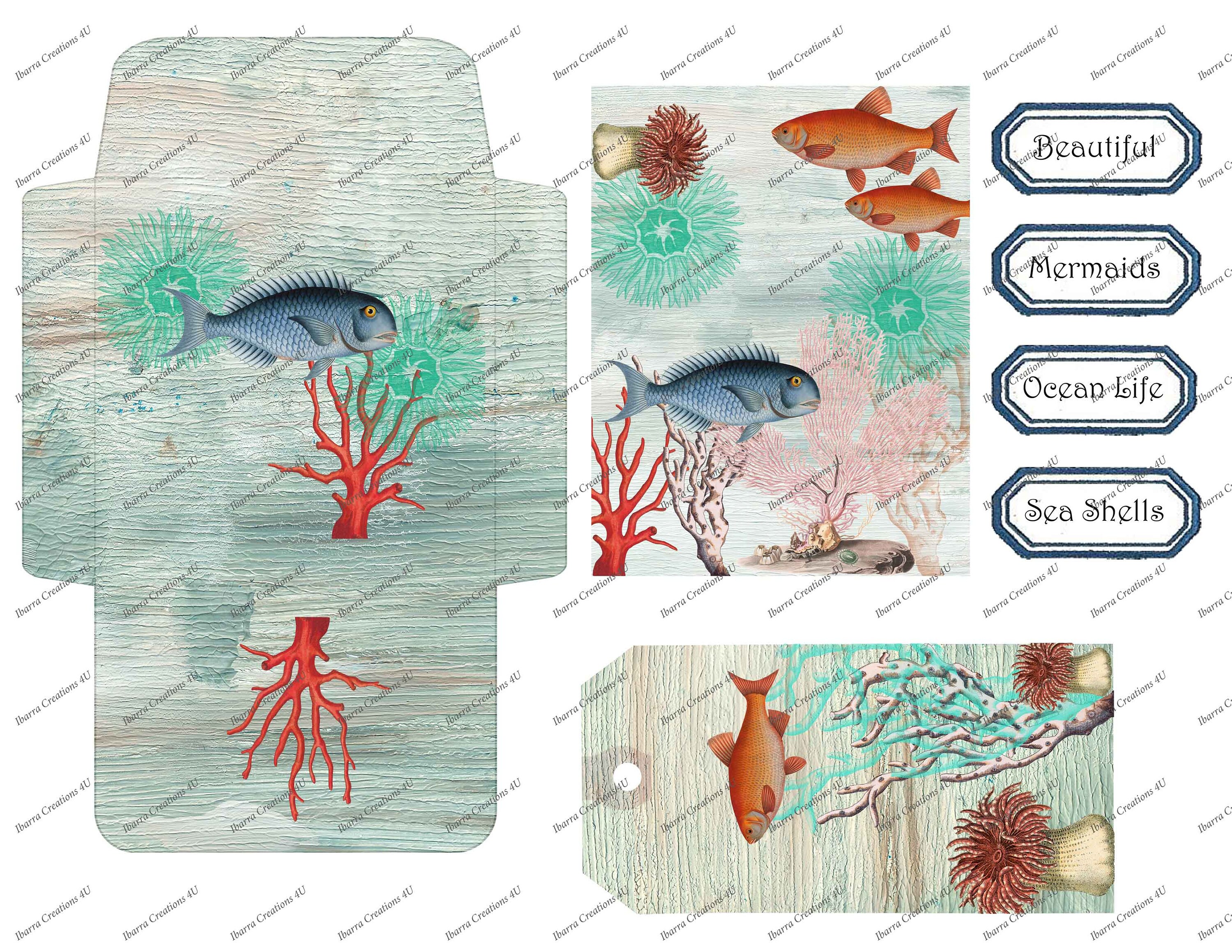 Instant Download-ocean Fish Theme-sea Creatures-digital Images - Etsy