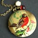 Robin Locket Necklace. Bird Necklace With Red Teardrop and Fresh Water ...