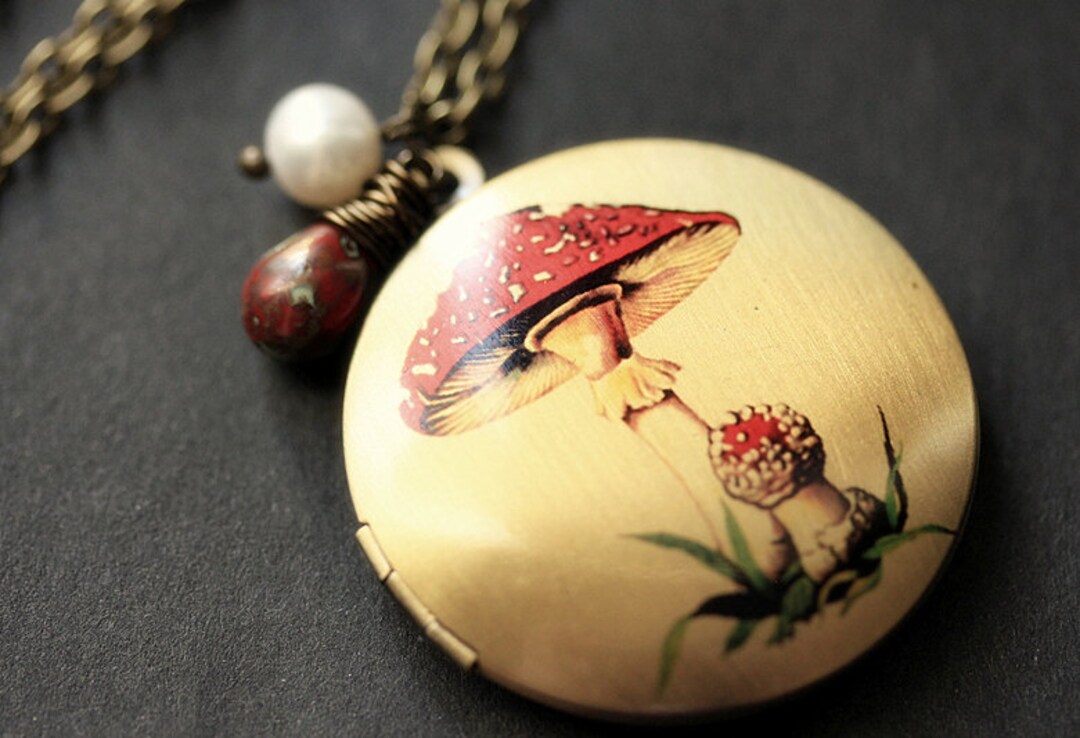 Red Mushroom Necklace. Toad Stool Locket Necklace. Gnome Home Locket ...