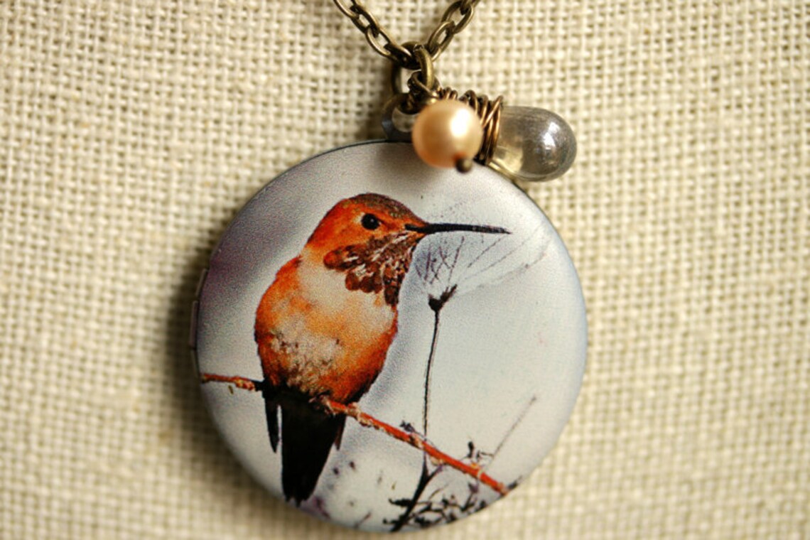Collier médaillon Colibri d'automne. Collier Colibri - Etsy France