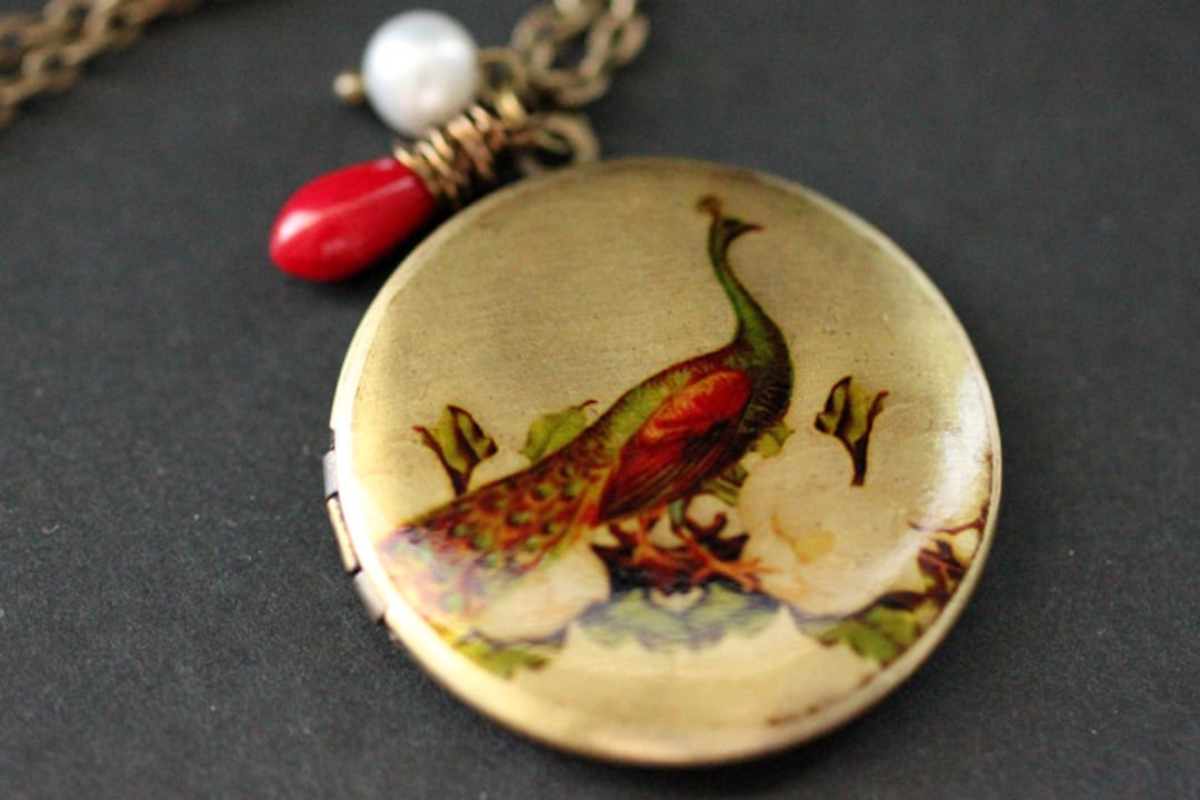 Peacock Necklace. Peacock Locket Necklace. Bird Necklace With Red Coral ...