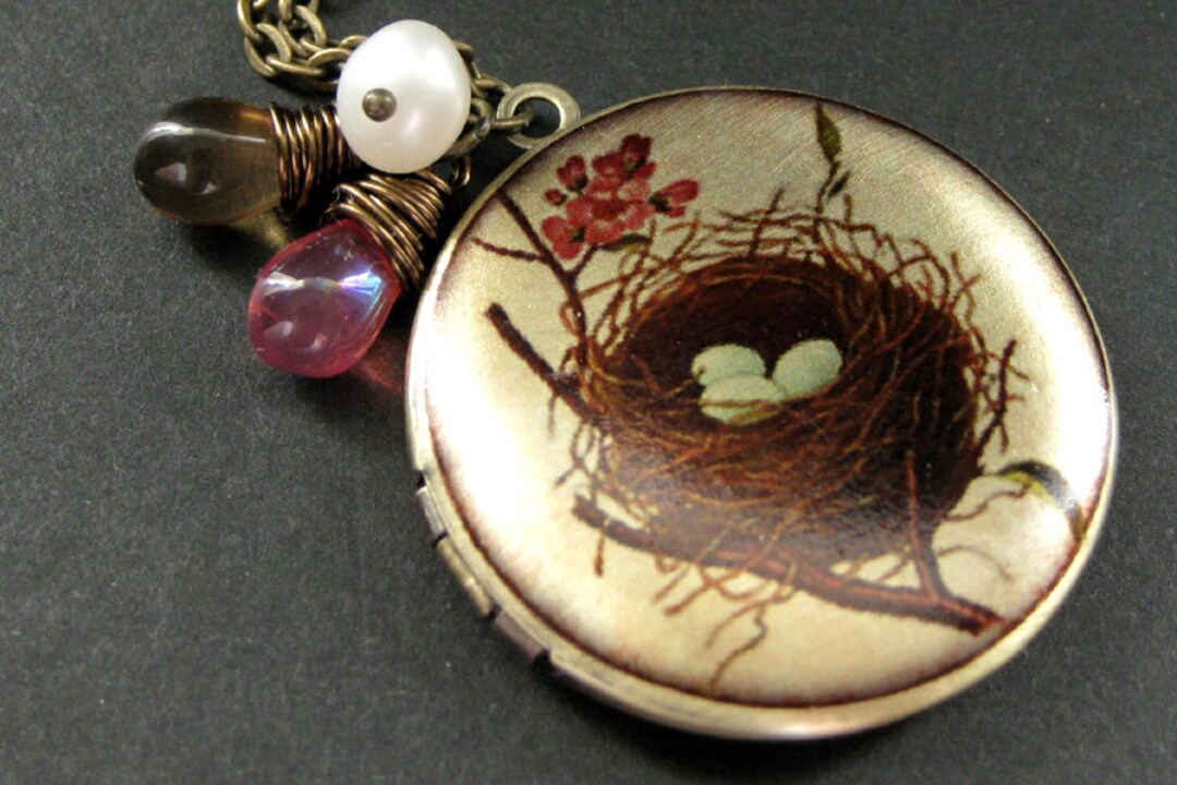 Locket Necklace. Bird Nest Locket With Fresh Water Pearl and Teardrop ...