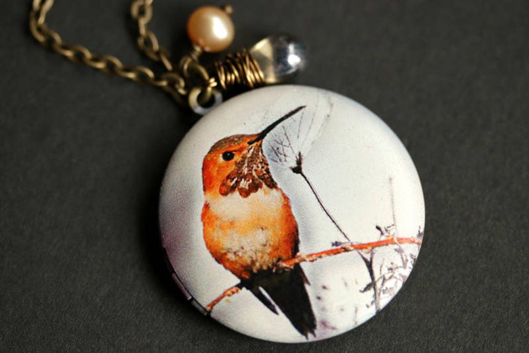 Collier médaillon colibri d'automne. Collier colibri orange avec larme ...