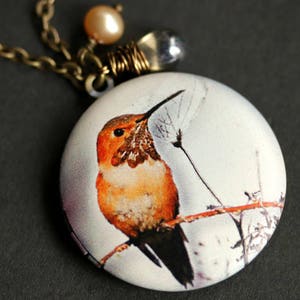 Collier médaillon colibri d'automne. Collier colibri orange avec larme ...