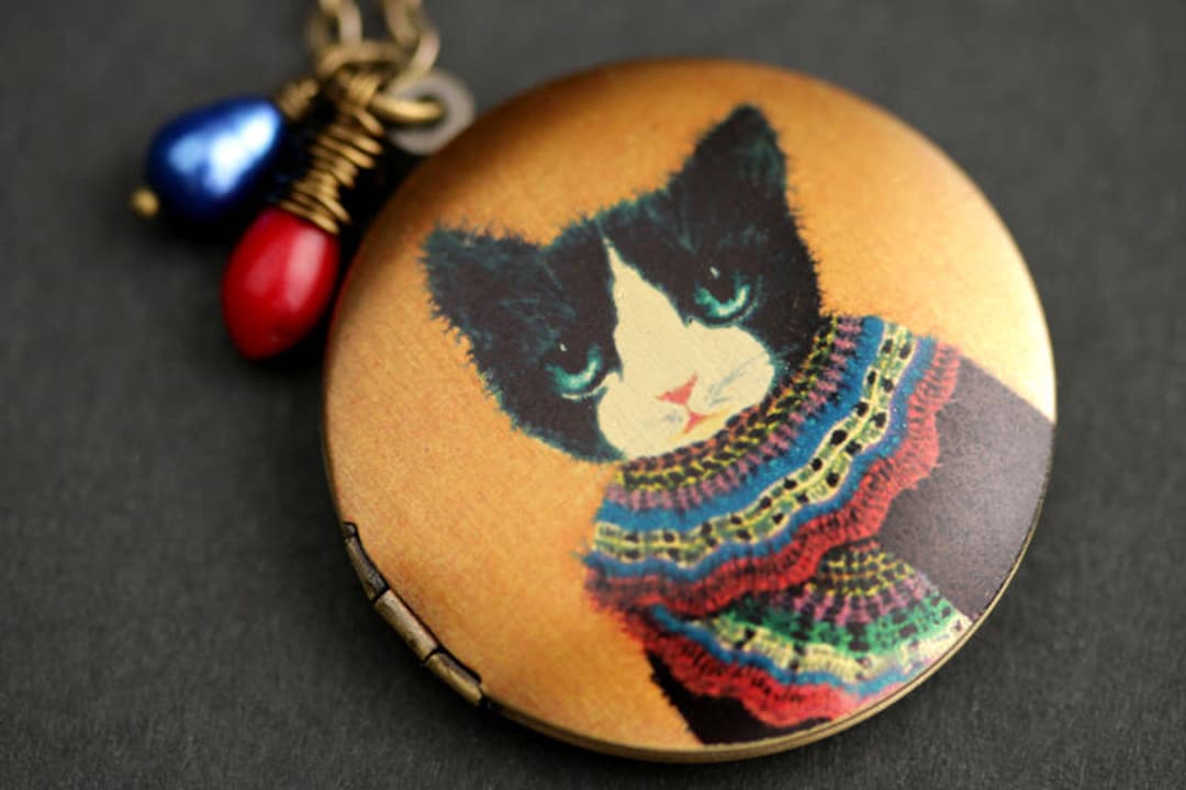 Winter Cat Locket Necklace. Tuxedo Cat Necklace With Red Coral Teardrop ...
