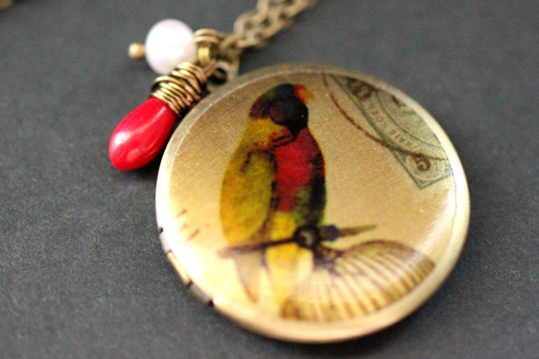 Parrot Necklace. Bird Locket Necklace. Bird Necklace With Red Coral ...
