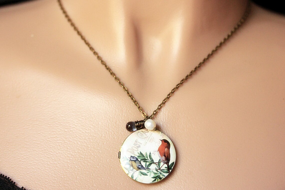 Robin and Blue Bird Necklace. Bird Locket Necklace. Bronze - Etsy