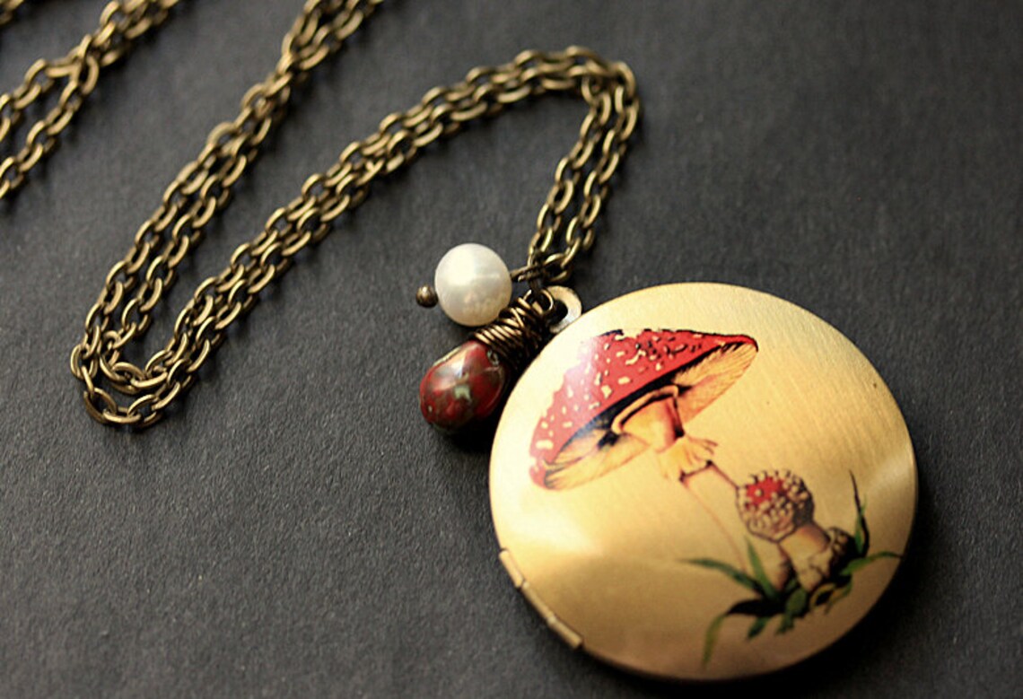 Red Mushroom Necklace. Toad Stool Locket Necklace. Gnome Home Locket ...