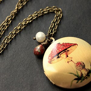 Red Mushroom Necklace. Toad Stool Locket Necklace. Gnome Home Locket ...