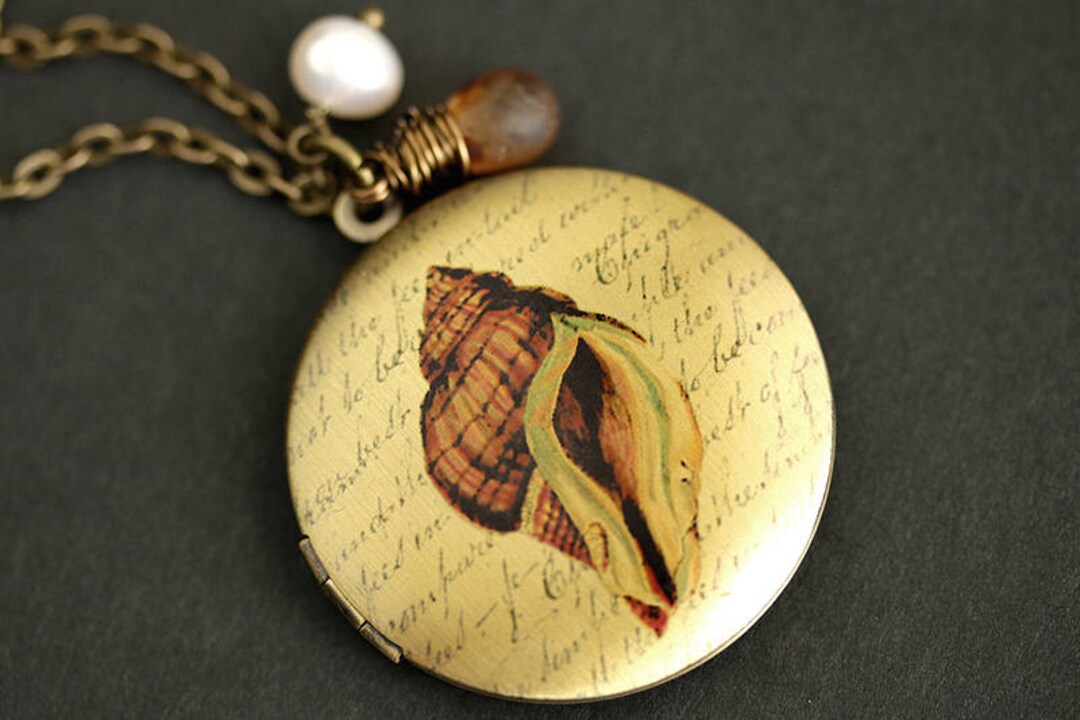 Brown Seashell Locket Necklace. Conch Shell Necklace With Mottled Brown ...