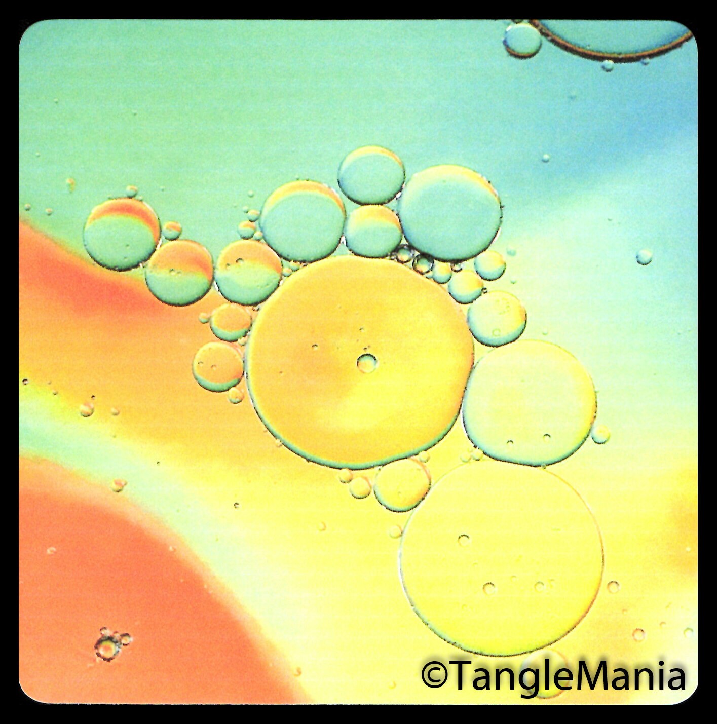 Set (F) of 5 Colored Bubble Tiles for Zentangle Art Work- 4 1/2-inch ...