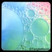 Set (D) of 5 Colored Bubble Tiles for Zentangle Art Work- 4 1/2-inch ...