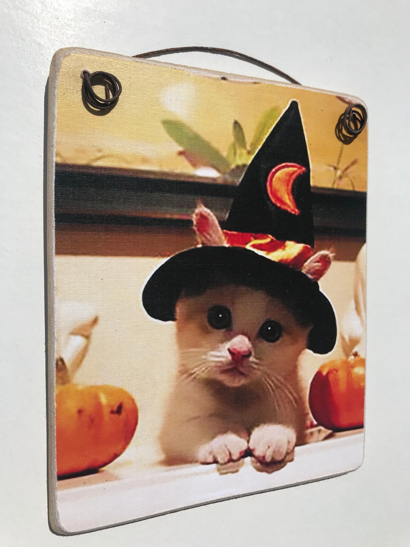 This Adorable Kitten Picture is Adhered to Wood and Ready to Display ...