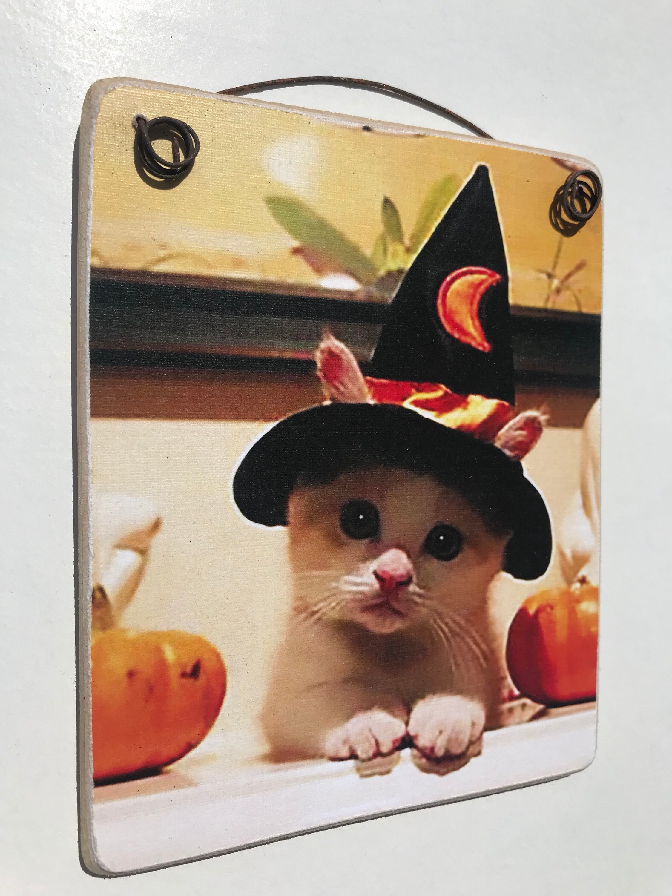 This Adorable Kitten Picture is Adhered to Wood and Ready to Display ...
