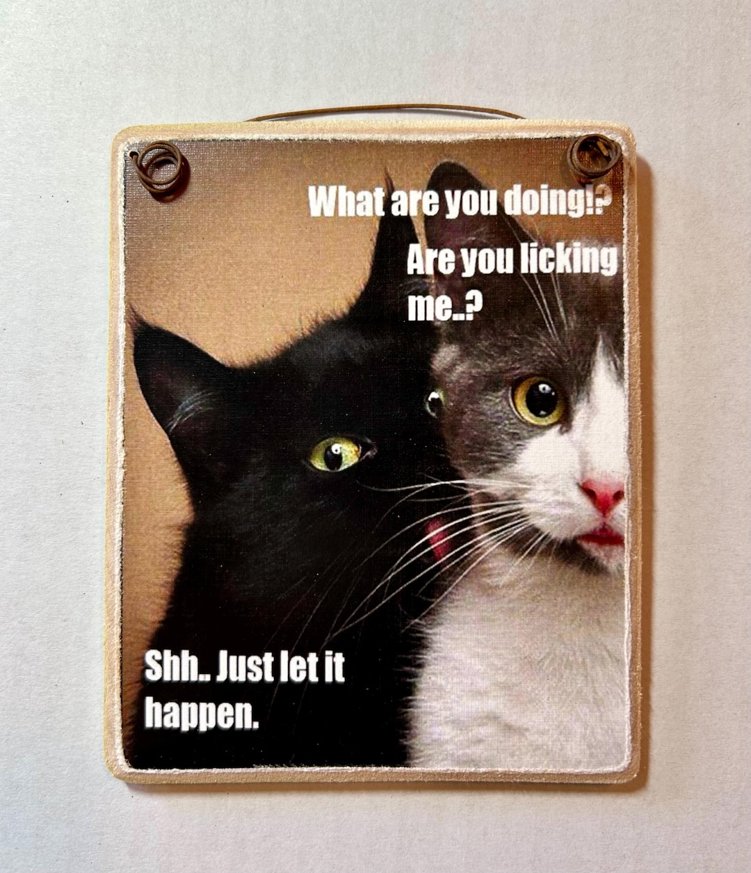 Humorous Cat Wood Sign: Shhh... Just Let It Happen (4x5) - Etsy