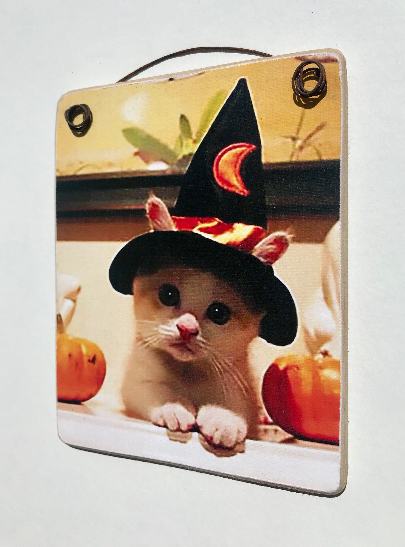 This Adorable Kitten Picture is Adhered to Wood and Ready to Display ...