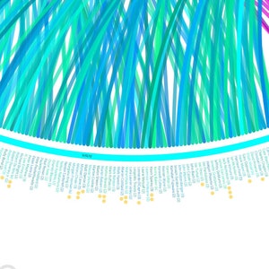 IMDB Top 100 Rated Movies Infographic - Etsy