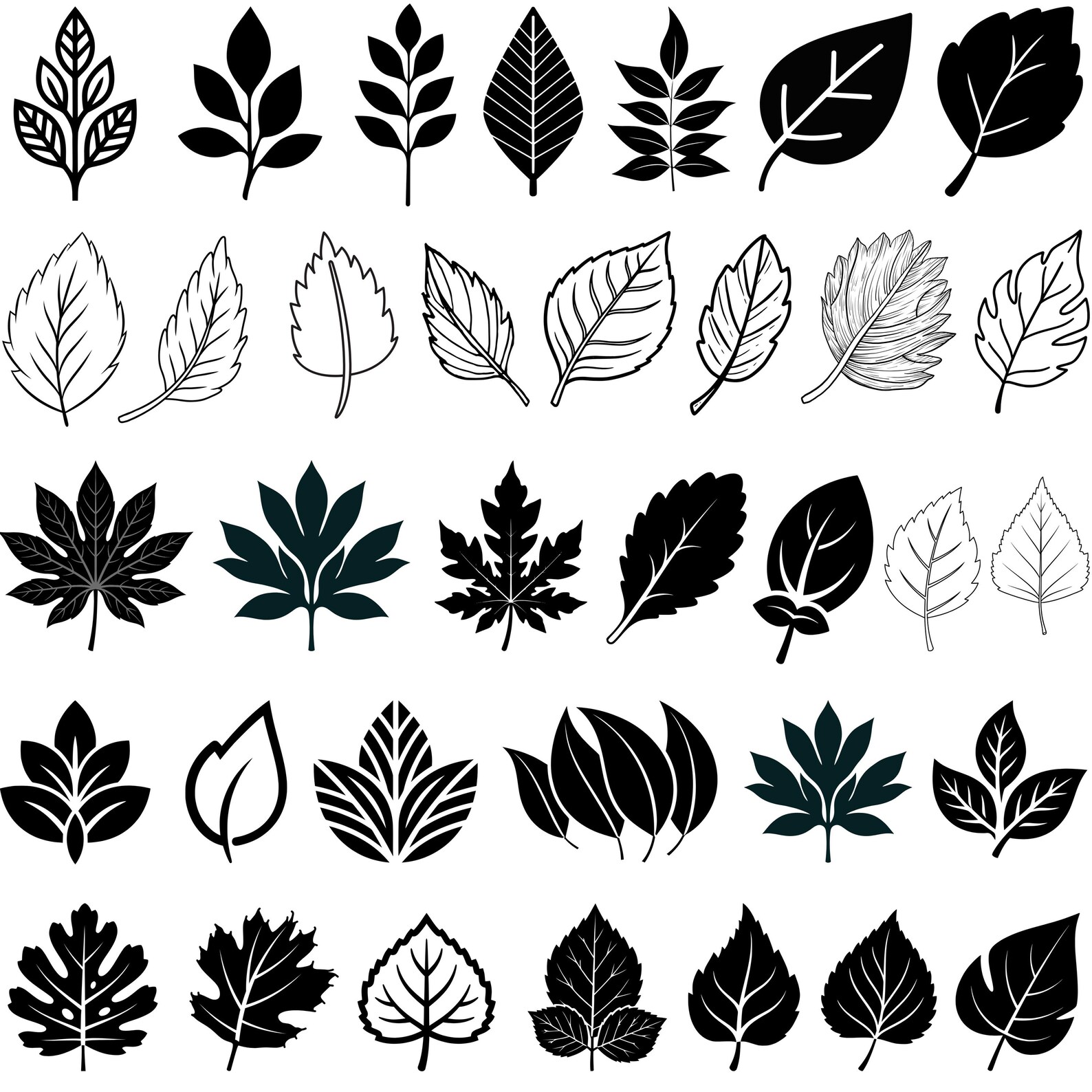 Botanical Leaf Bundle, Autumn Fall Cut Files, Rose Outline Clipart (svg ...