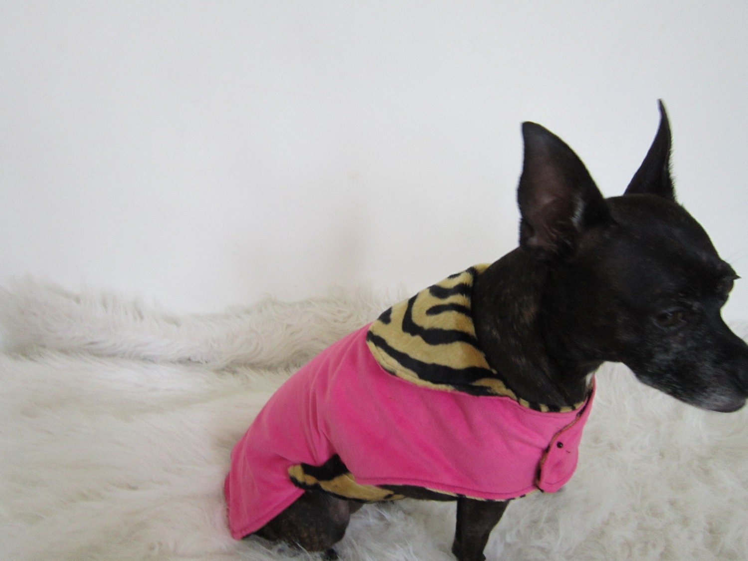 Faux Fur Dog Coat and Reversible on the Otherside is Faux Suede.two ...