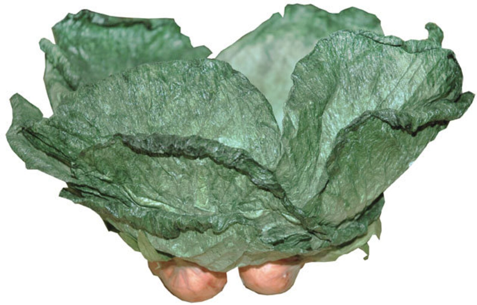 FAKE CABBAGE LEAVES, Pkg/12 Pcs Handpainted Paper Leaves - Etsy