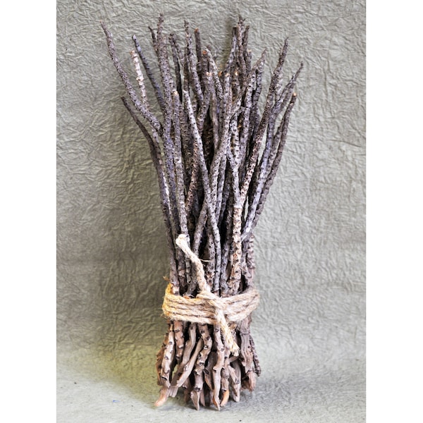 Twig Bundle - Etsy