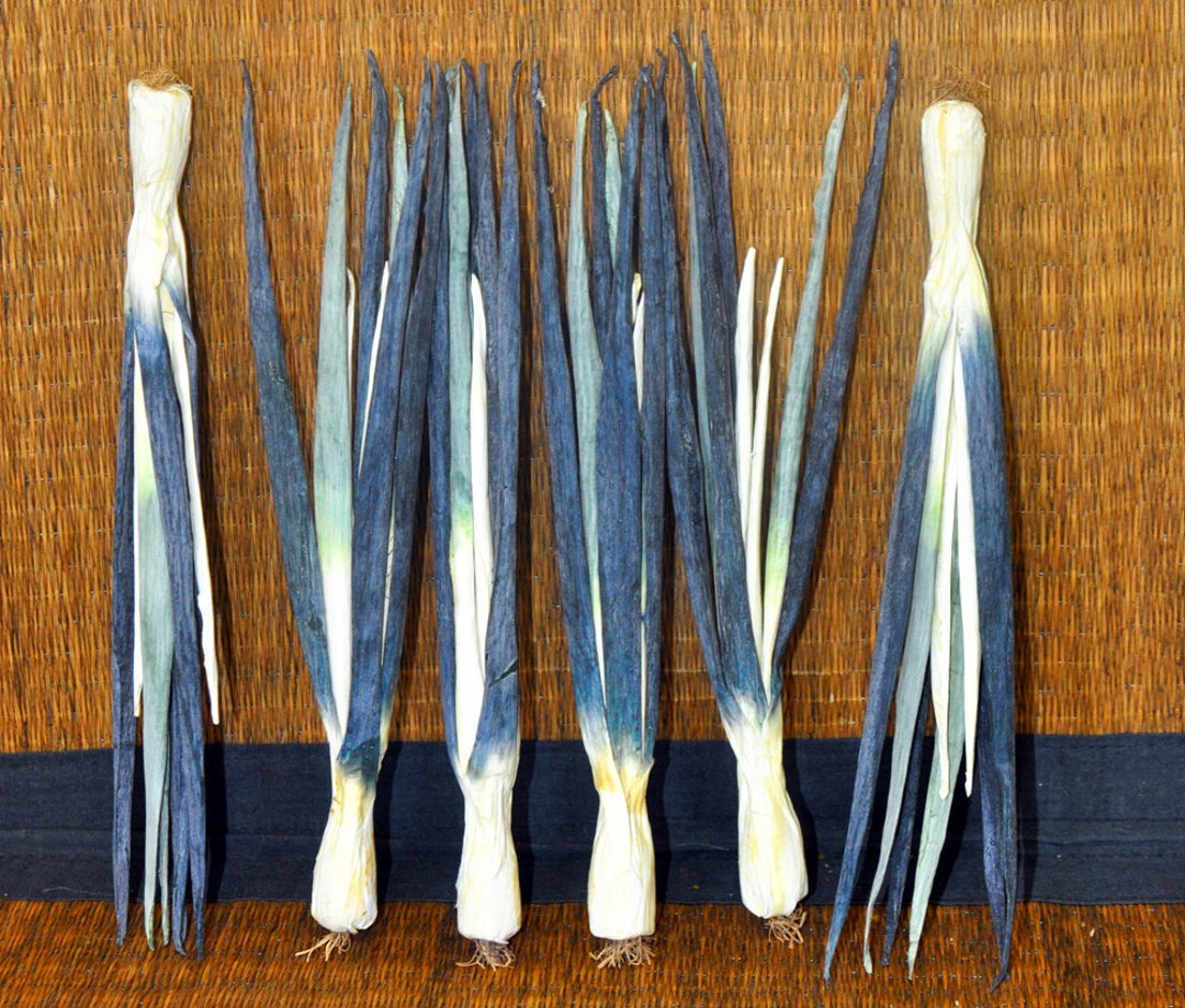 FAKE PAPER SCALLIONS, Set/6, Fake Food, Handmade Paper Onions, Kitchen ...