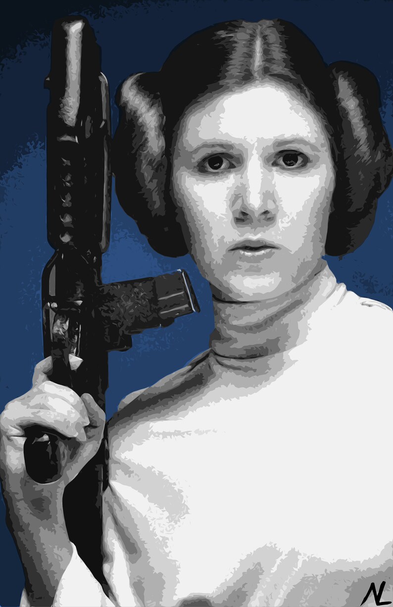 Princess Leia Organa from Star Wars Illustration Sci-fi Film | Etsy