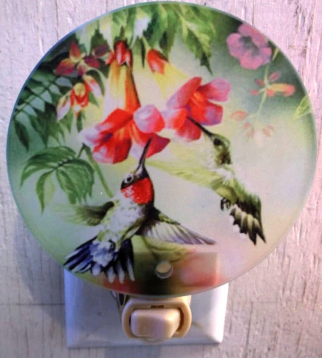 Hummingbird Night Light, Bird Night Light, Wildlife Night Light, Pretty ...