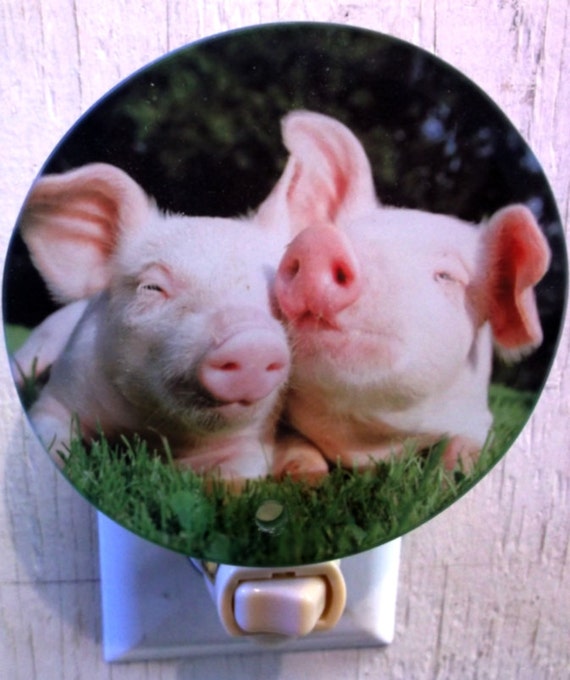 Pig Night Light Animal Night Light Funny Night Light Farm | Etsy