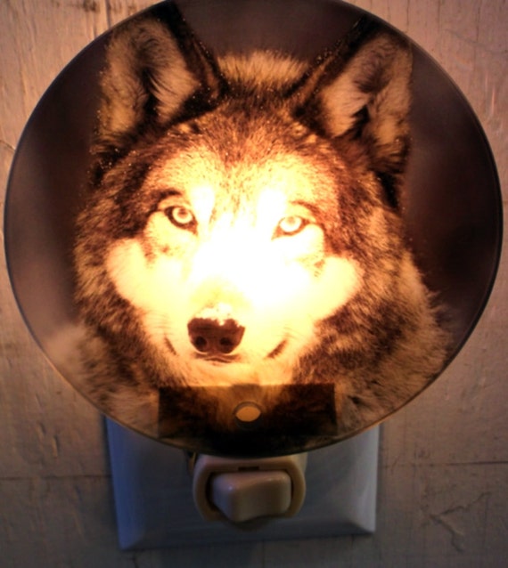 Night Lights Lighting Decorative Photo Night Light Wolf Moonlight Watch ...