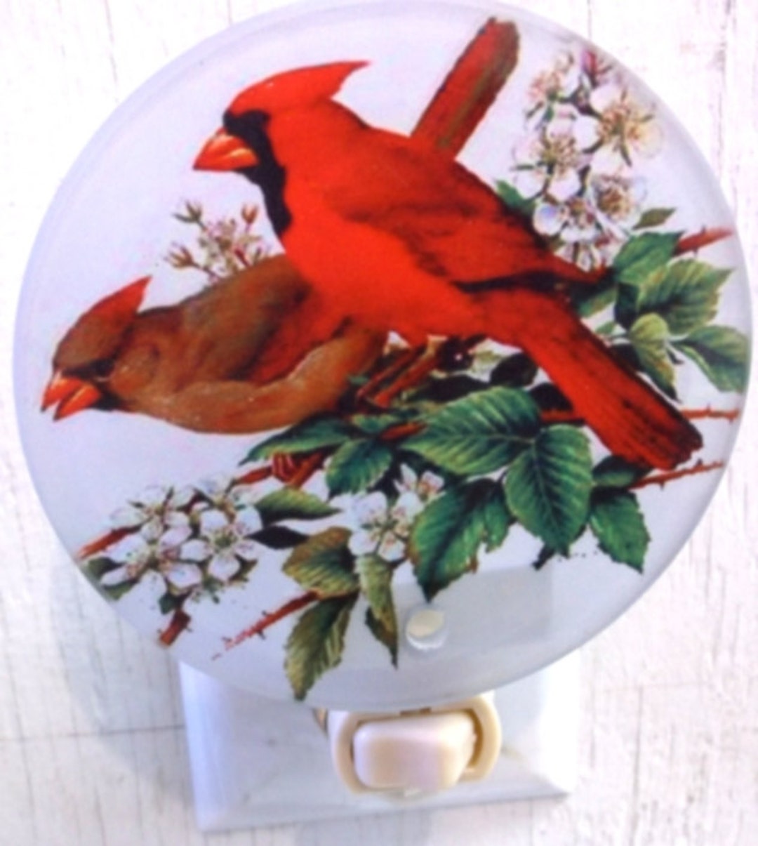 Cardinal Night Light, Bird Night Light, Decorative Night Light, Kitchen ...