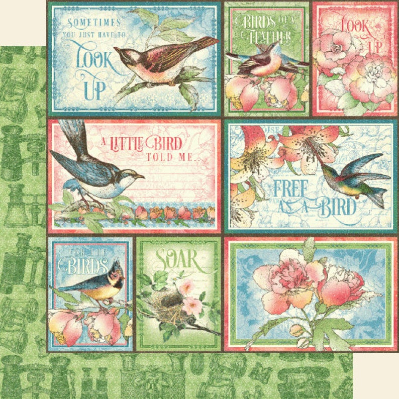 Graphic 45 Bird Watcher 8 Sheets 12 X 12 - Etsy