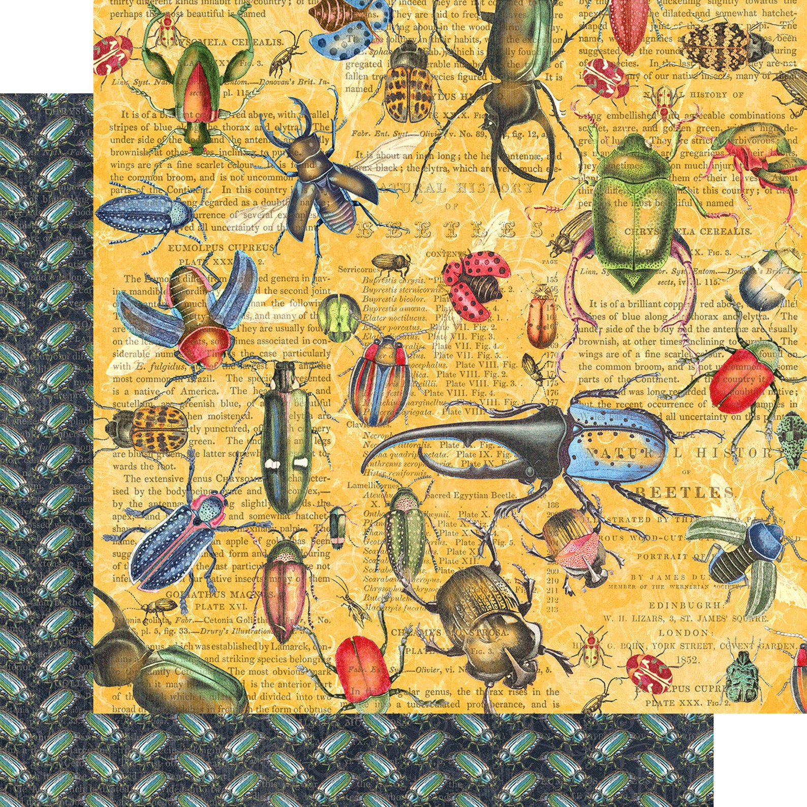 Graphic 45 Flutter 8”x 8” Paper Pad - Etsy