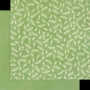 Graphic 45 Bird Watcher 12x12 Patterns & Solids - Etsy