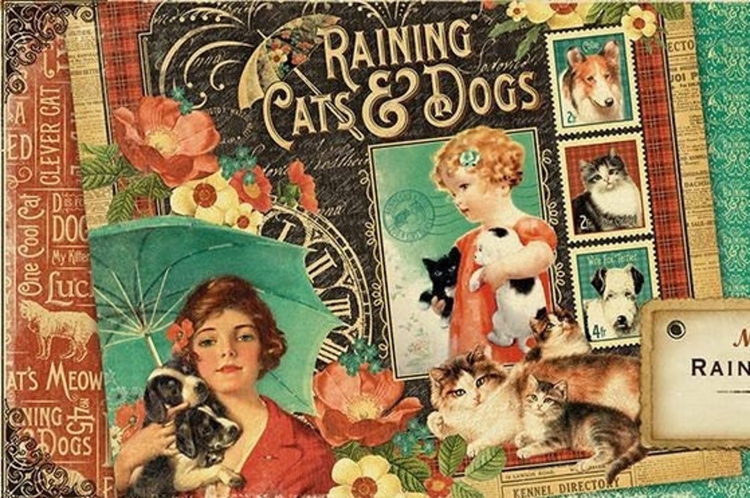 Graphic 45 Raining Cats and Dogs 8 Sheets of 12x12 Papers - Etsy