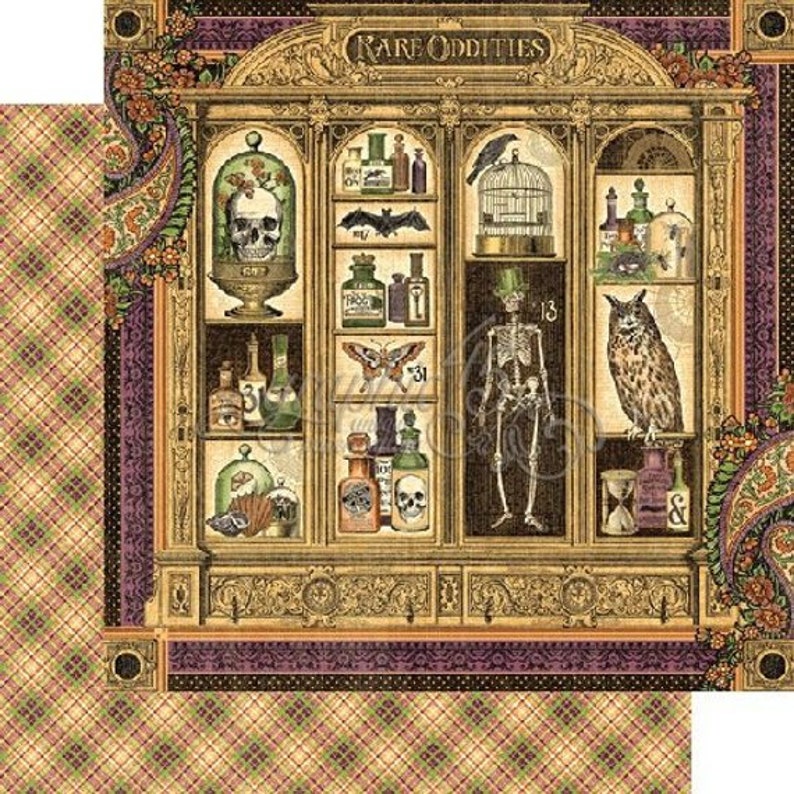 4 Sheets - Graphic 45 Rare Oddities 12 X 12 Sheets - Etsy