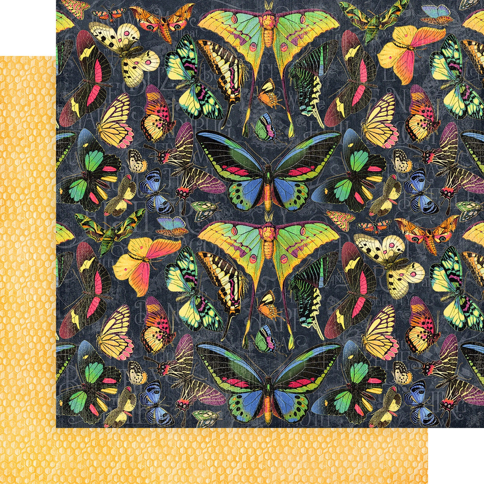 Graphic 45 Flutter 8”x 8” Paper Pad - Etsy