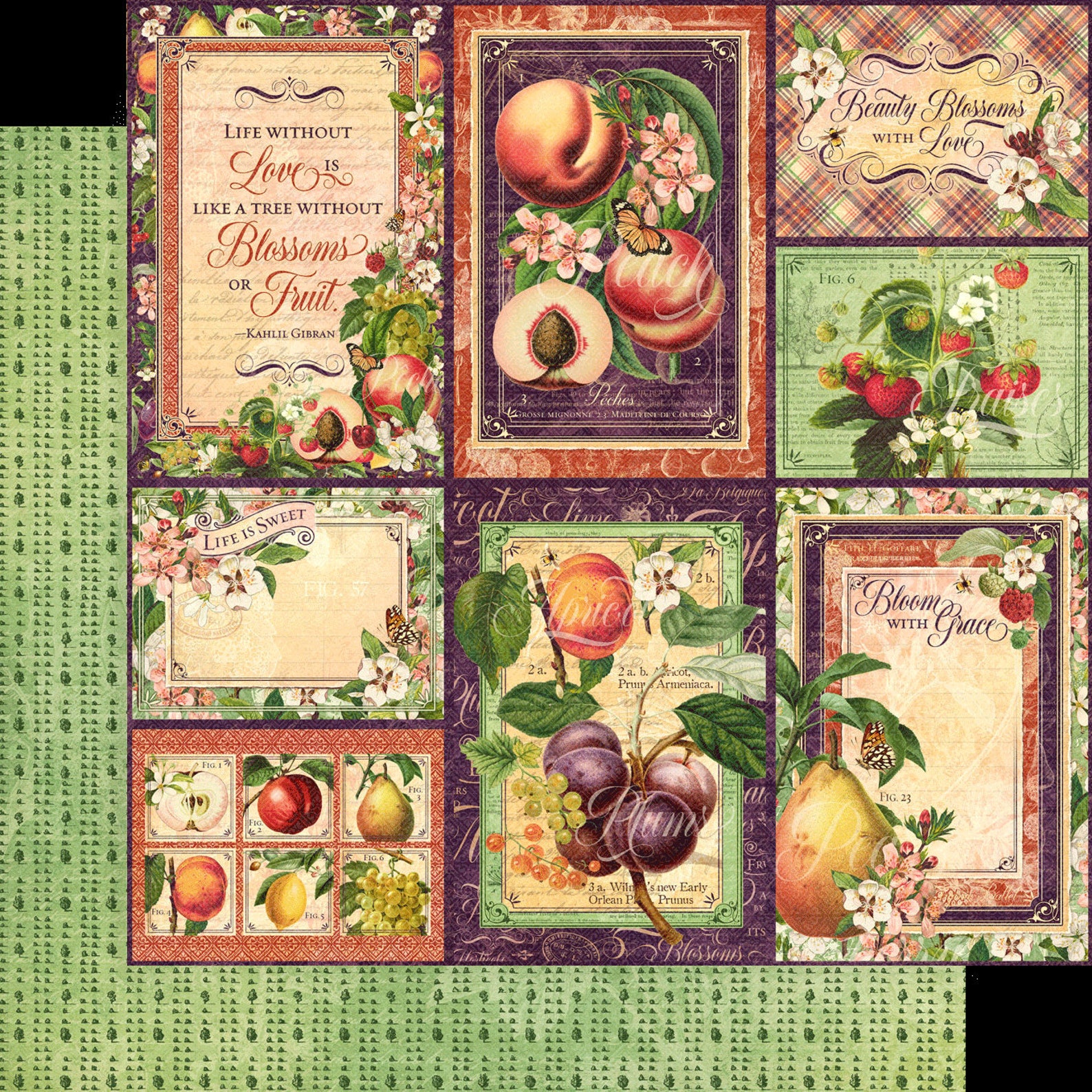 Graphic 45 Fruit & Flora Collection Pack 12 X 12 Sheets and - Etsy