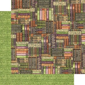 4 Sheets - Graphic 45 Rare Oddities 12 X 12 Sheets - Etsy