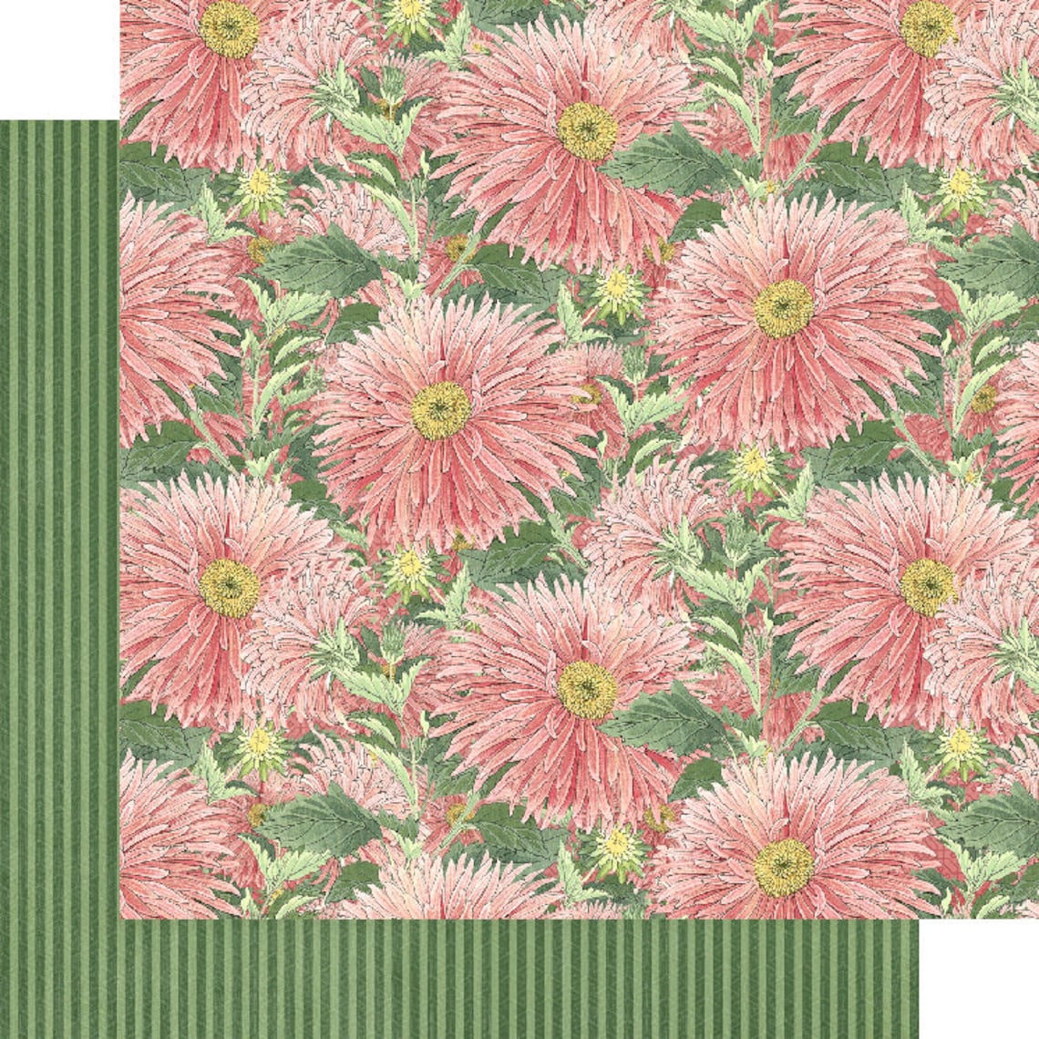 Graphic 45 Blossom 8x8 Pad - Etsy