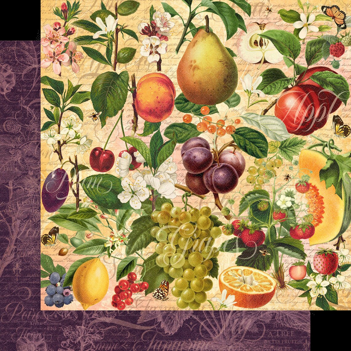 Graphic 45 Fruit & Flora Collection Pack 12 X 12 Sheets and - Etsy