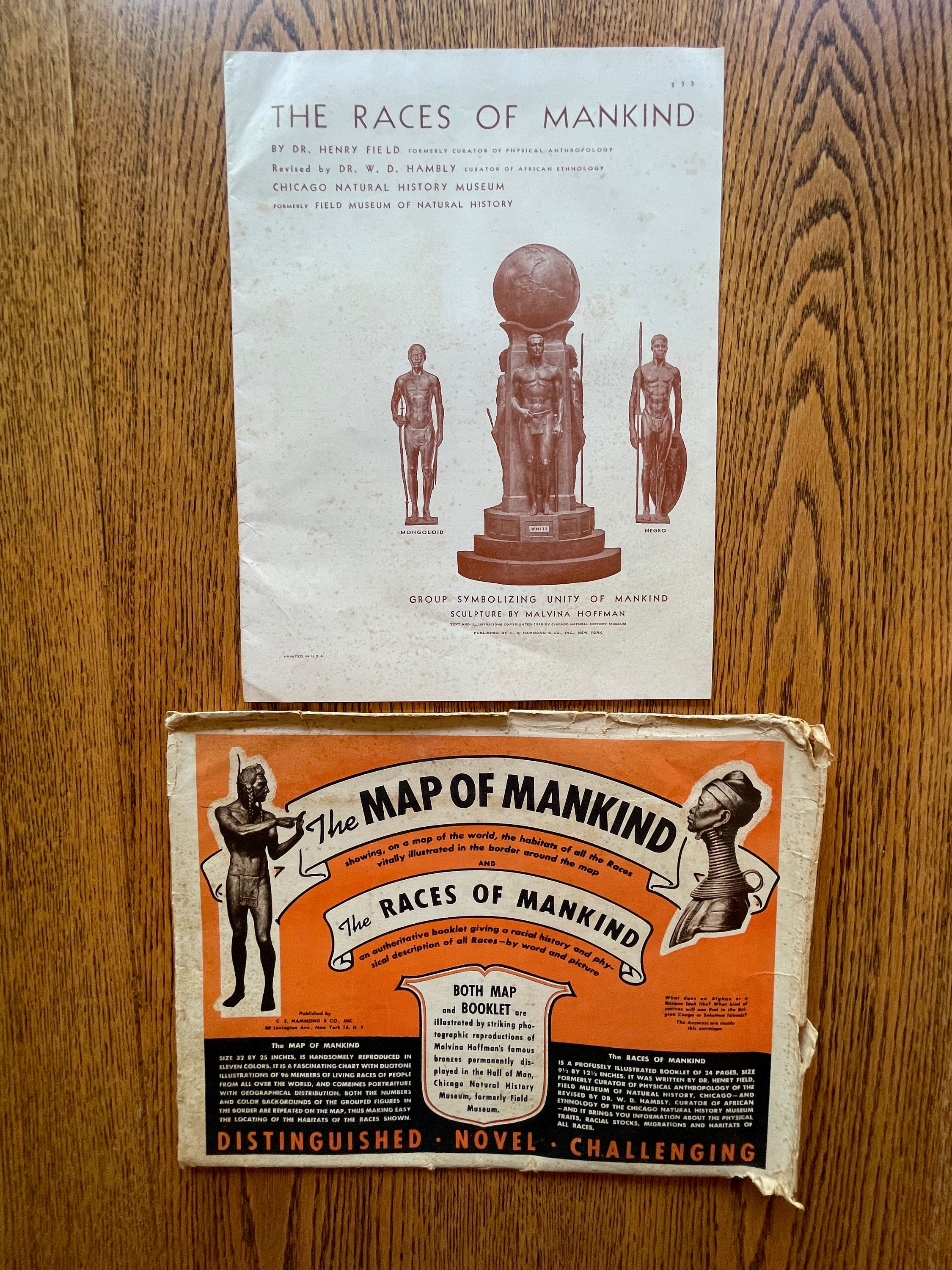 Rare Art MAP 1946 Hoffman Anthropological Map of the World - Etsy