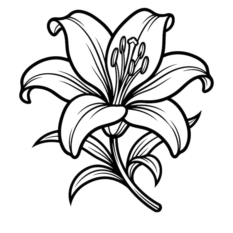 Simple Lily Svg, Lily Flower Svg, Floral Line Art Svg, Botanical Flower ...