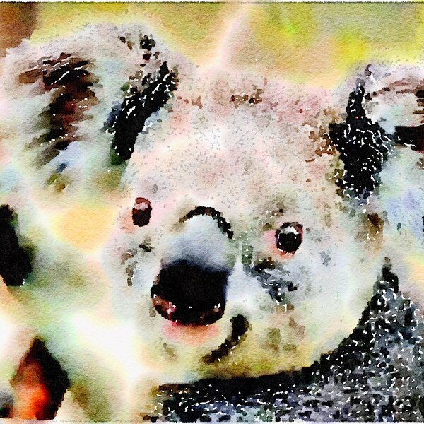 Koala Print - Etsy Australia