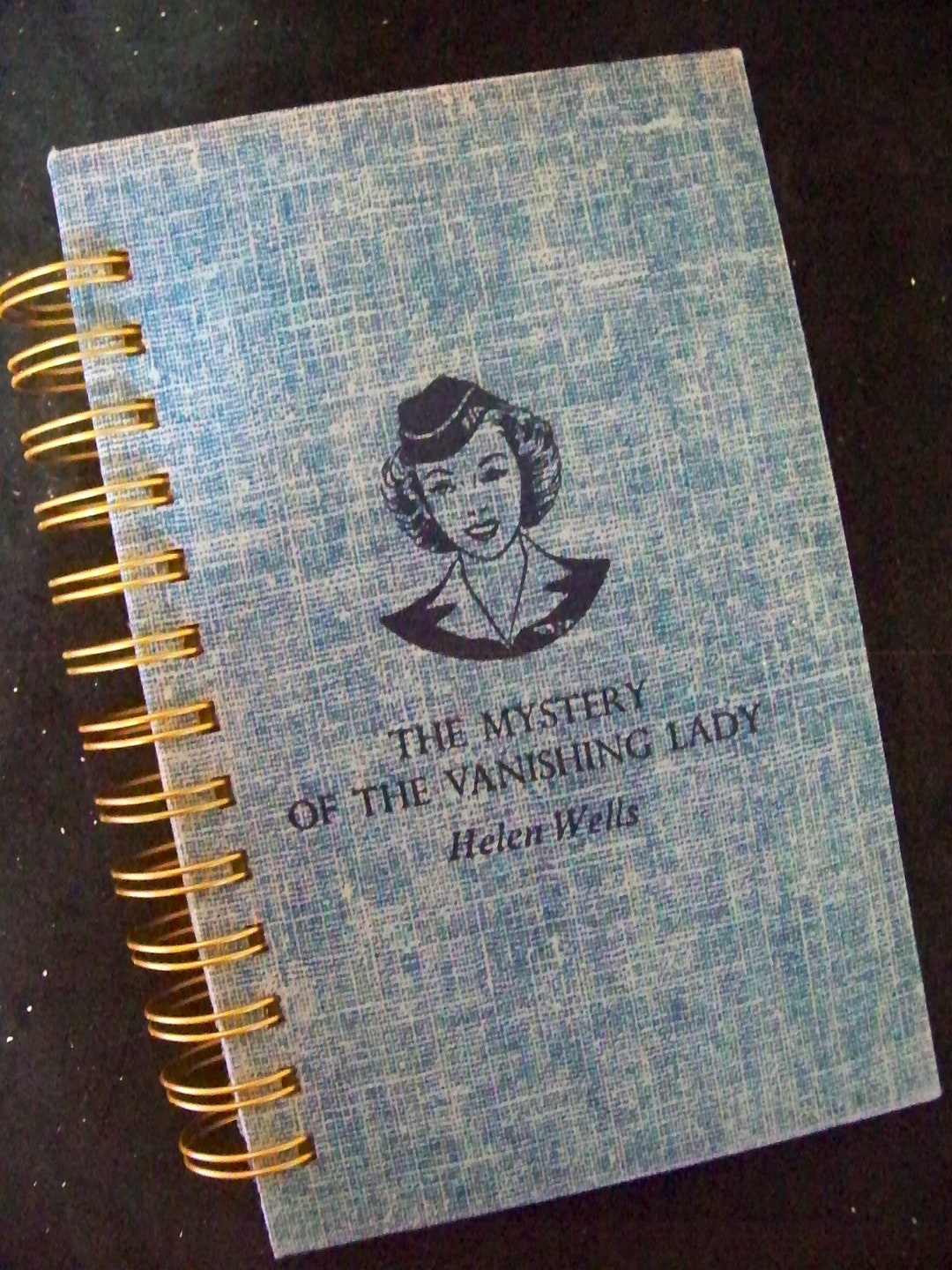 Vicki Barr Flight Stewardess Vintage Book Journal Diary Planner ...