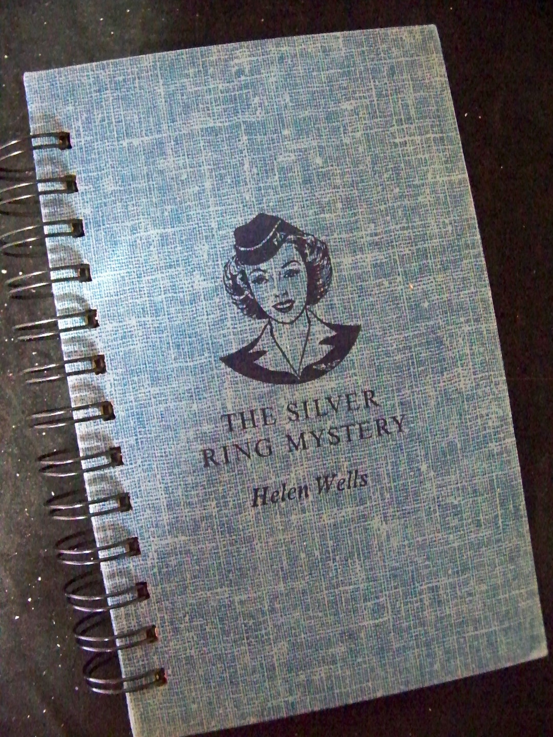 Stewardess Girl Series Nostalgia Book Vicki Barr Flight Attendant Book ...