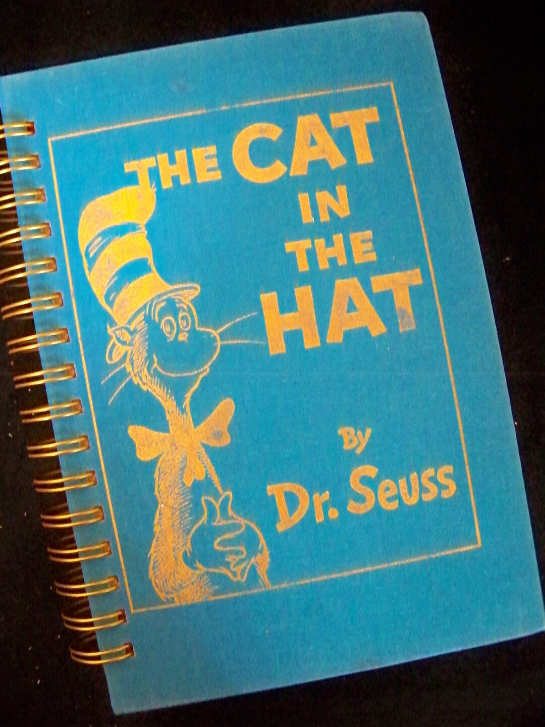 Dr. Seuss Cat in the Hat Blank Book Journal Diary Planner Old Book ...