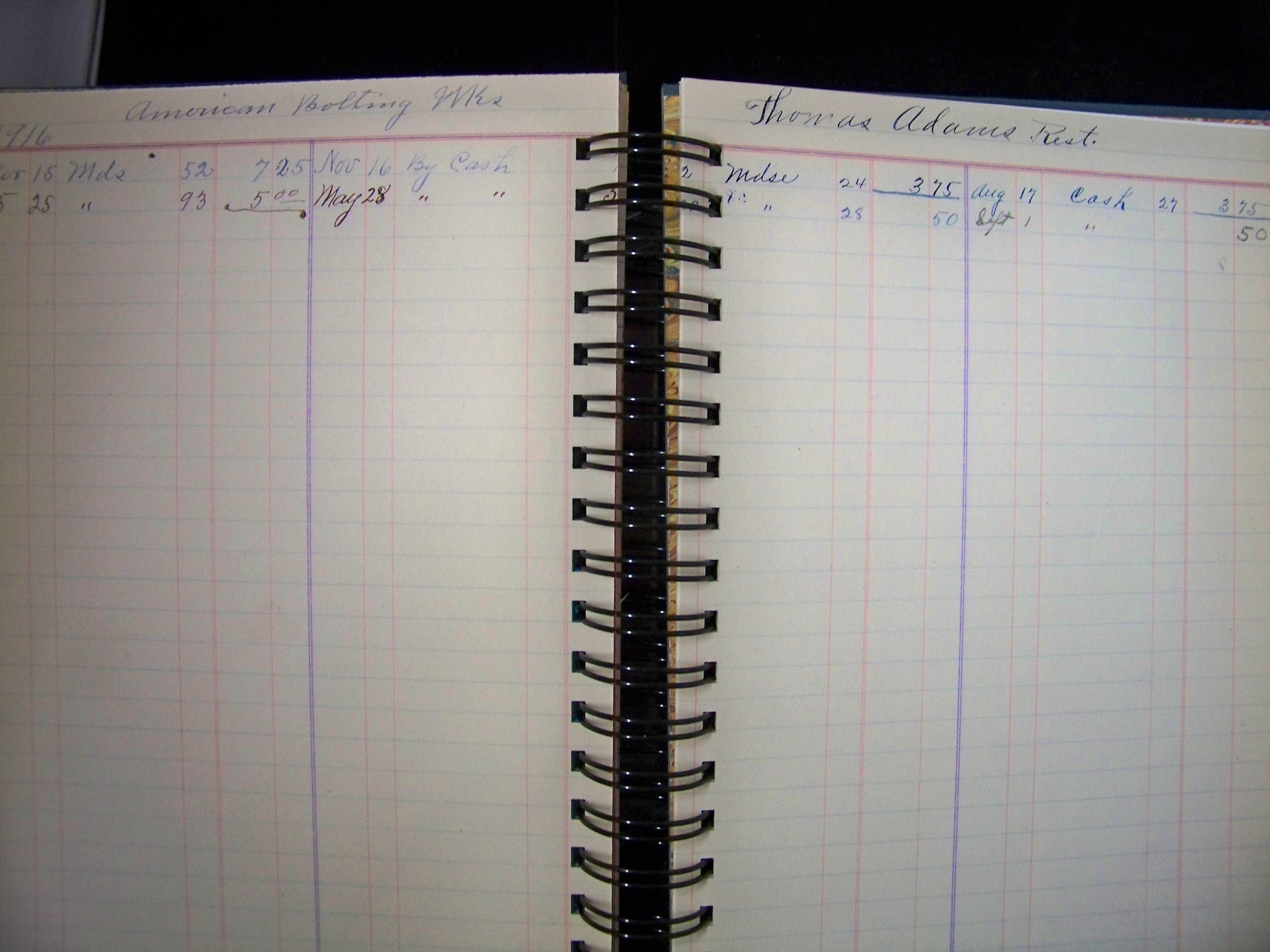 Ledgerbook of Thomas Blue Eagle Blank Book Diary Journal Native ...